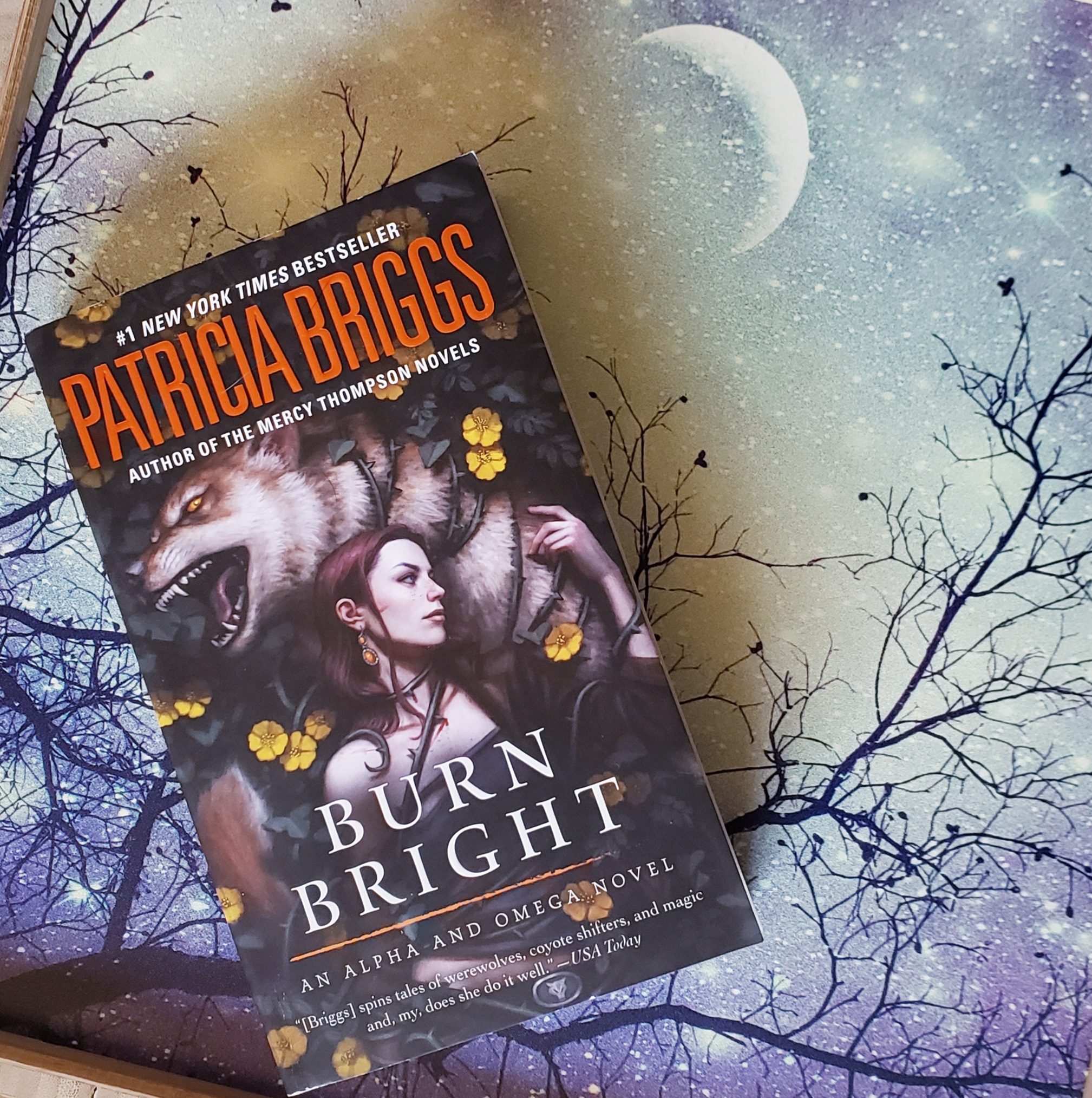 Review: Burn Bright by Patricia Briggs – Quirky Cat's Fat Stacks