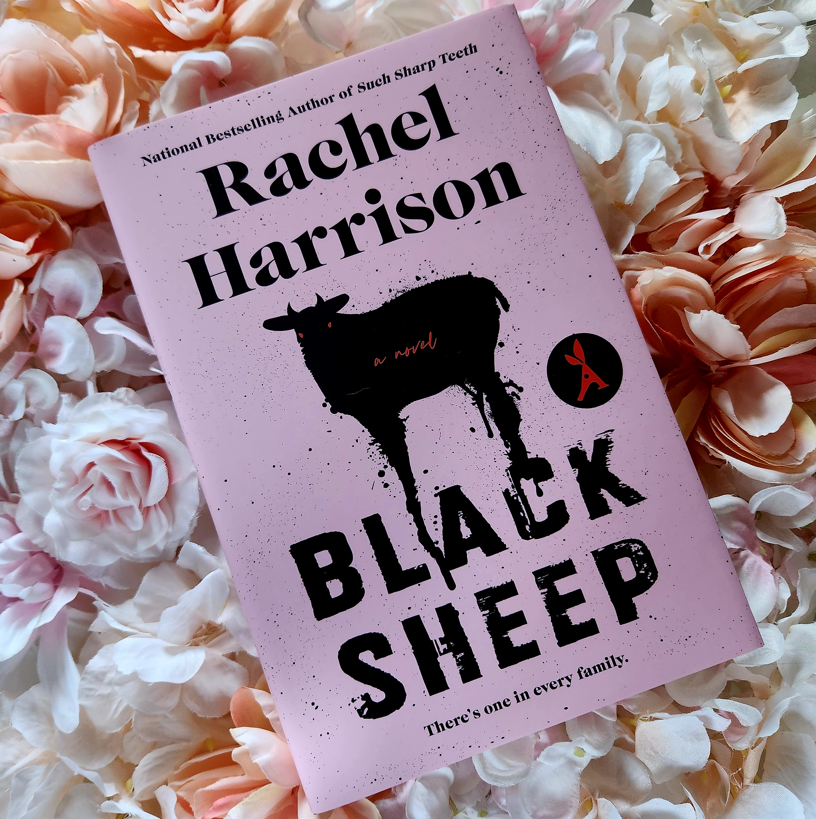 Review: Black Sheep by Rachel Harrison – Quirky Cat's Fat Stacks