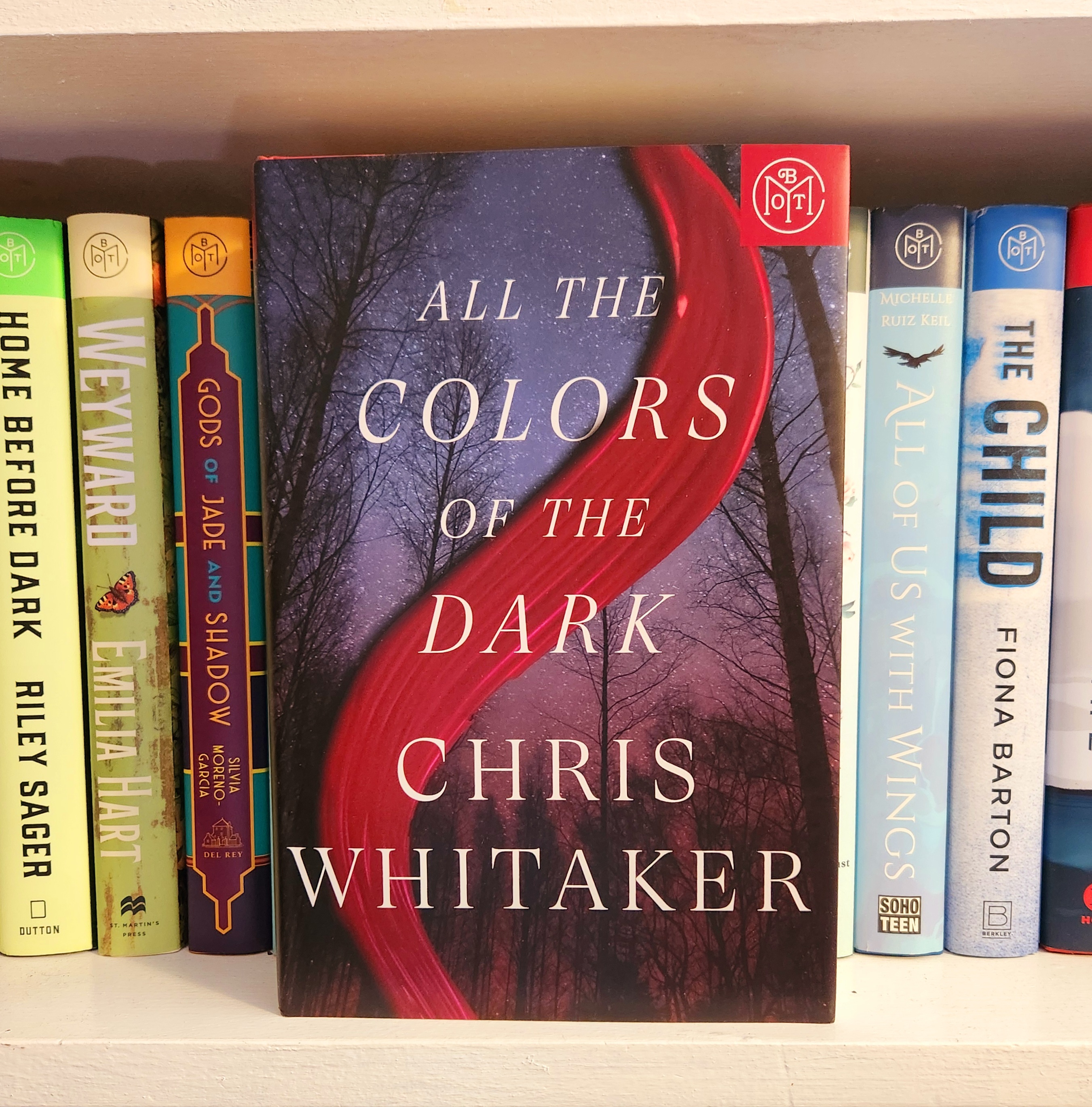 Review: All the Colors of the Dark by Chris Whitaker – Quirky Cat's Fat ...