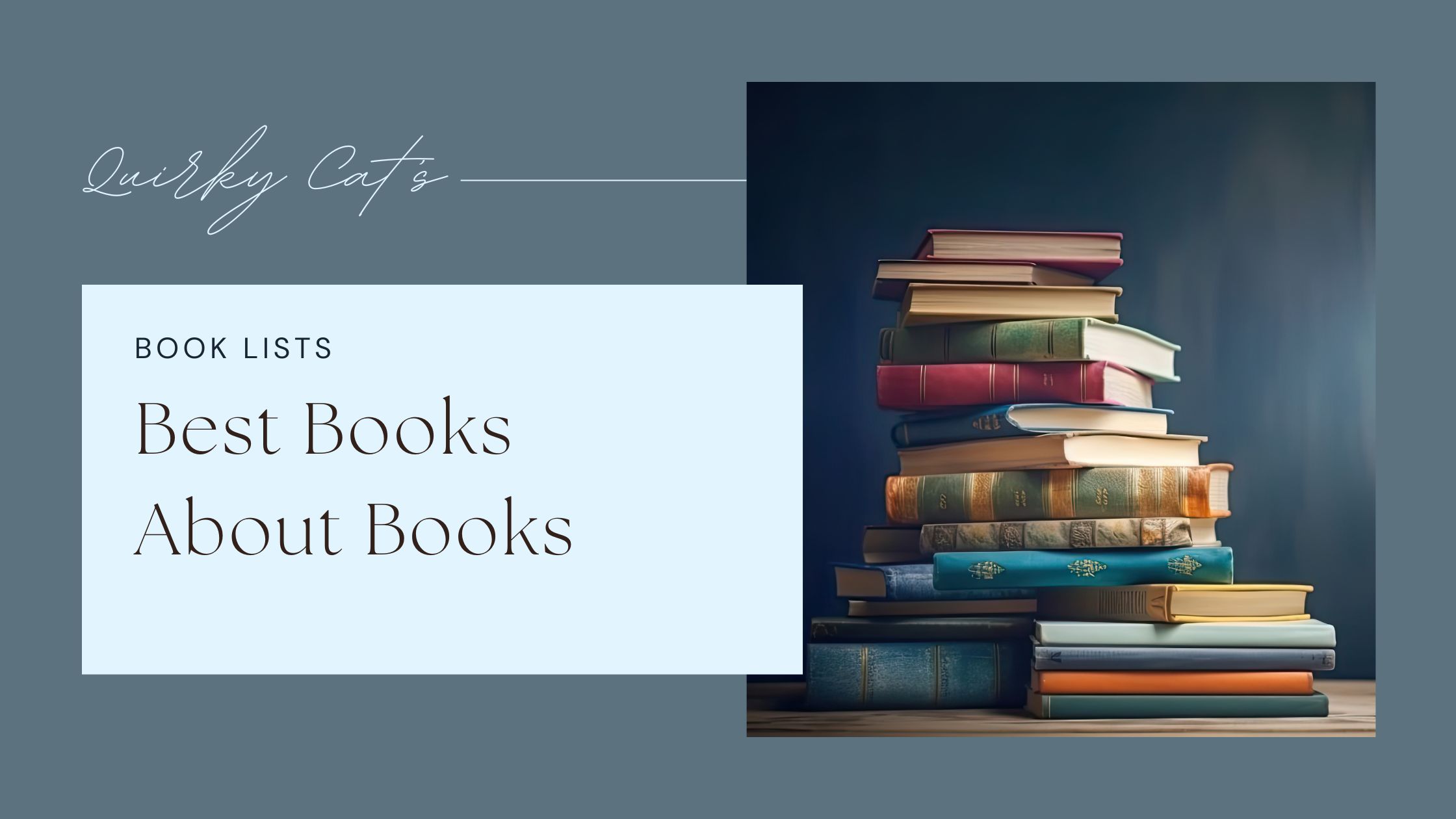 Best Books About Books – Quirky Cat's Fat Stacks