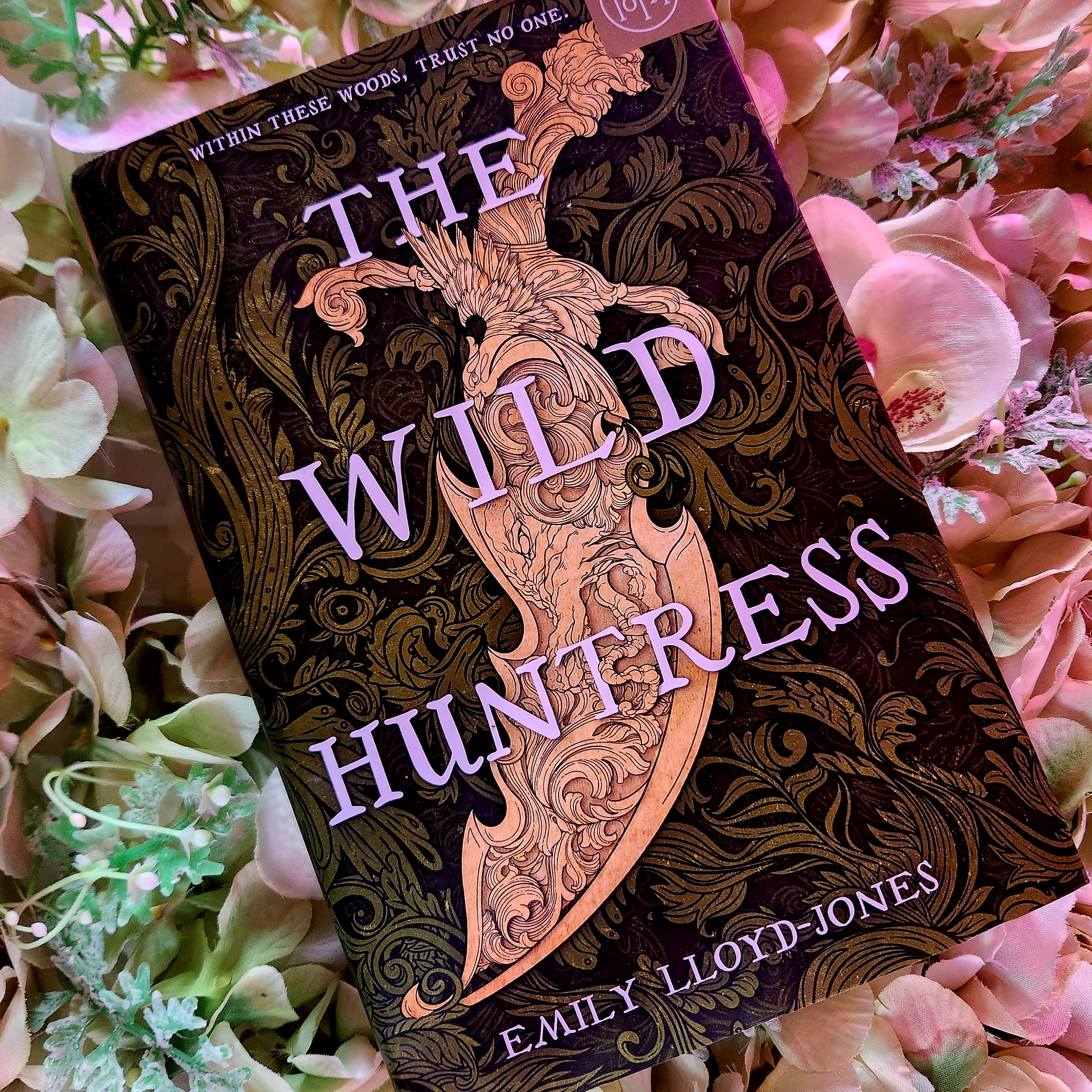 Review: The Wild Huntress by Emily Lloyd-Jones – Quirky Cat's Fat Stacks