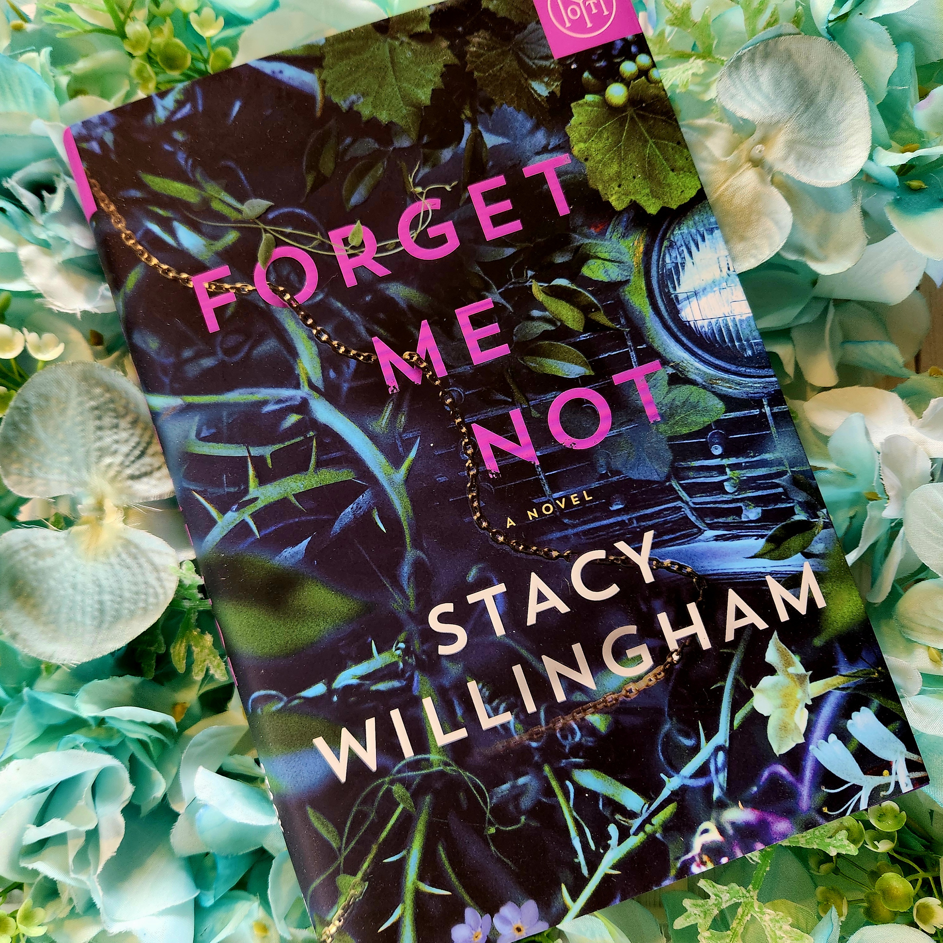 Review: Forget Me Not by Stacy Willingham – Quirky Cat's Fat Stacks